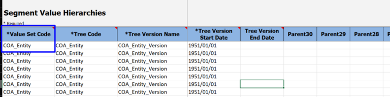 How to Import Segment Value via FBDI